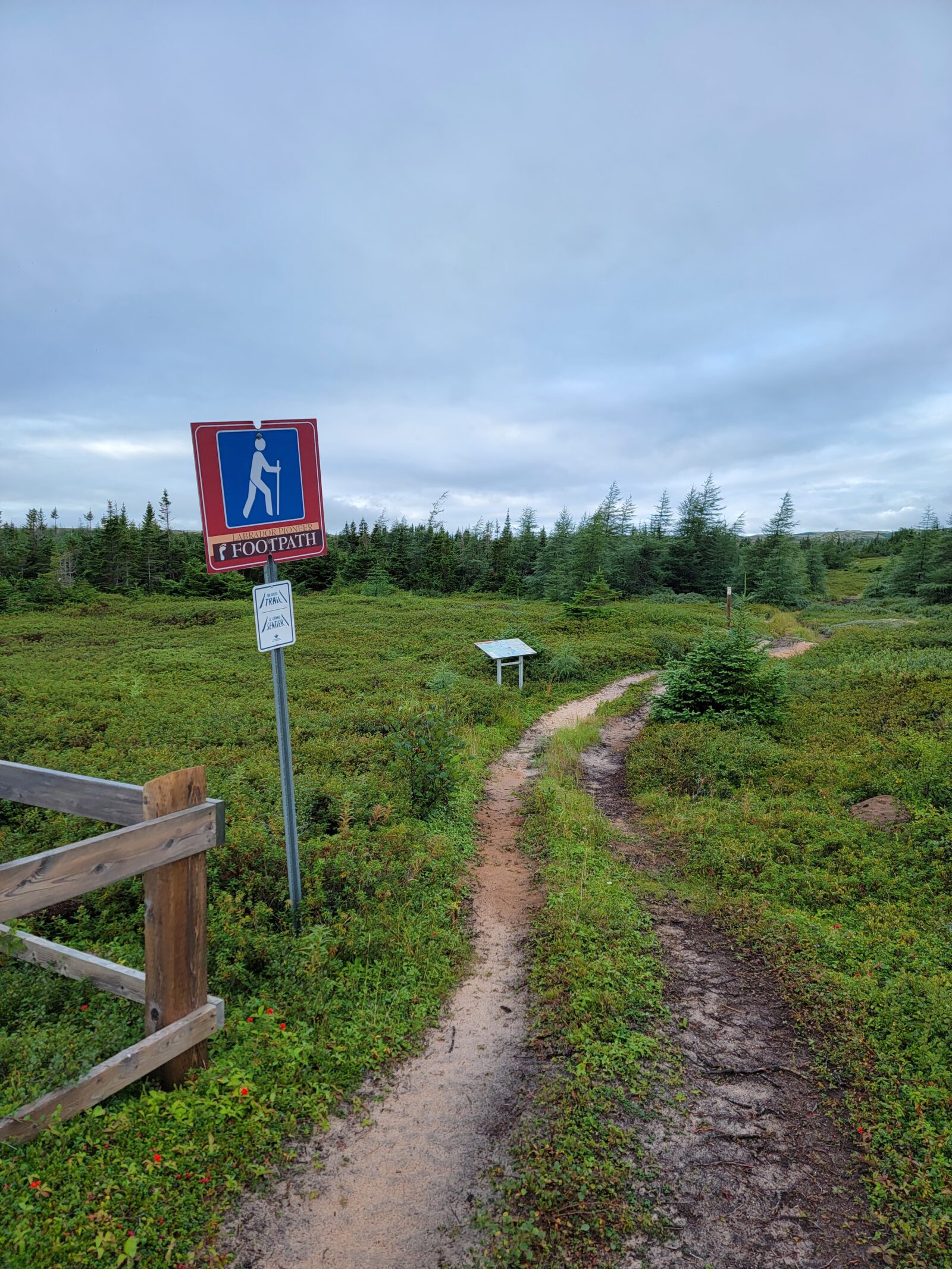 Labrador Pioneer Footpath: Loads of Potential - Untaken Trails