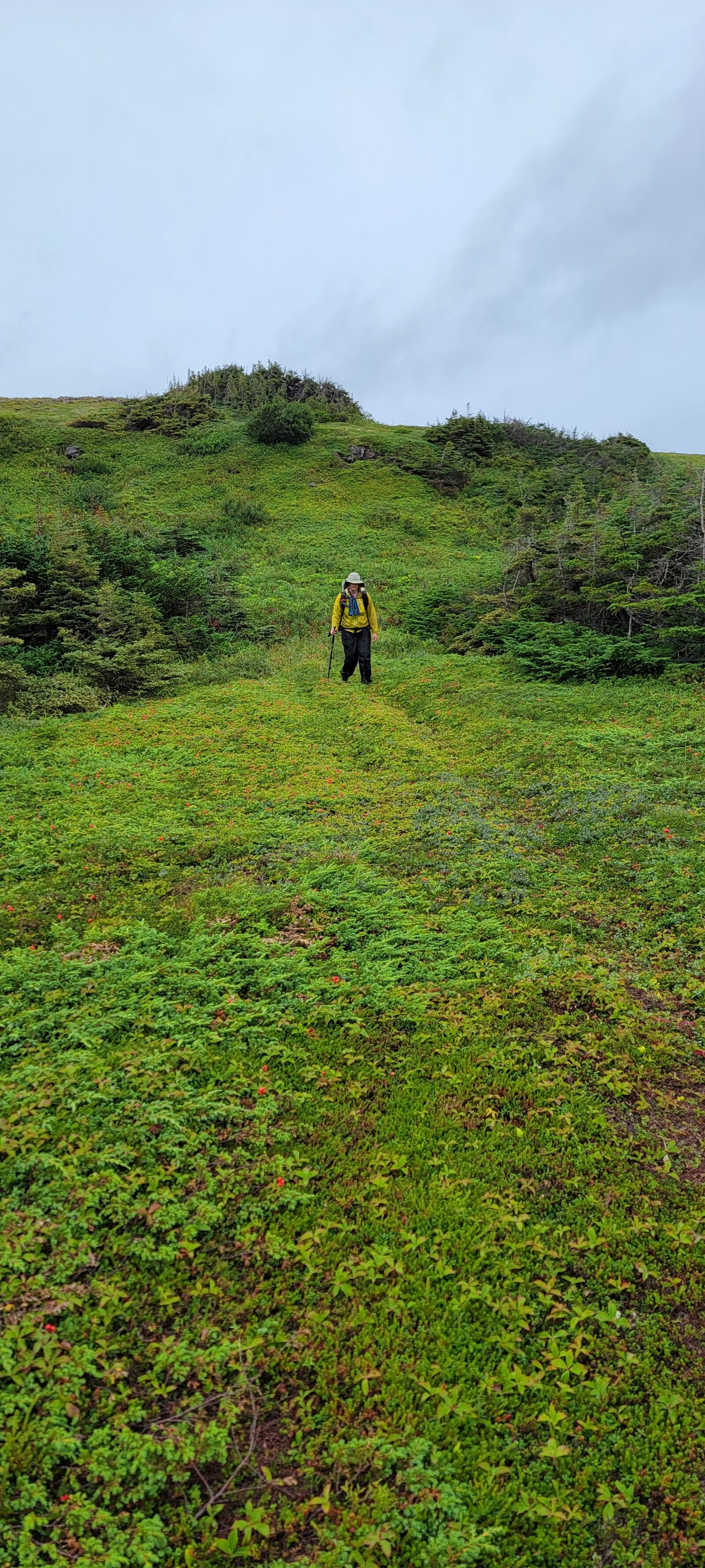 Labrador Pioneer Footpath: Loads of Potential - Untaken Trails